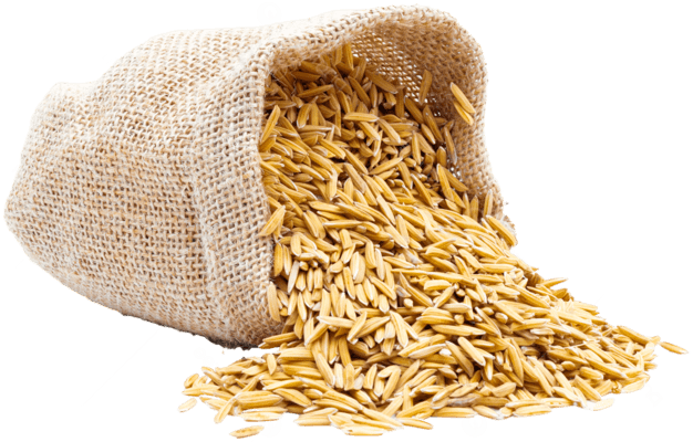 GreenLand Seeds – Production and Supply of Farm Produce Seeds in Ghana